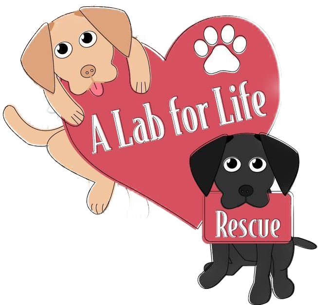 About ALL – 2020 – A Lab for Life