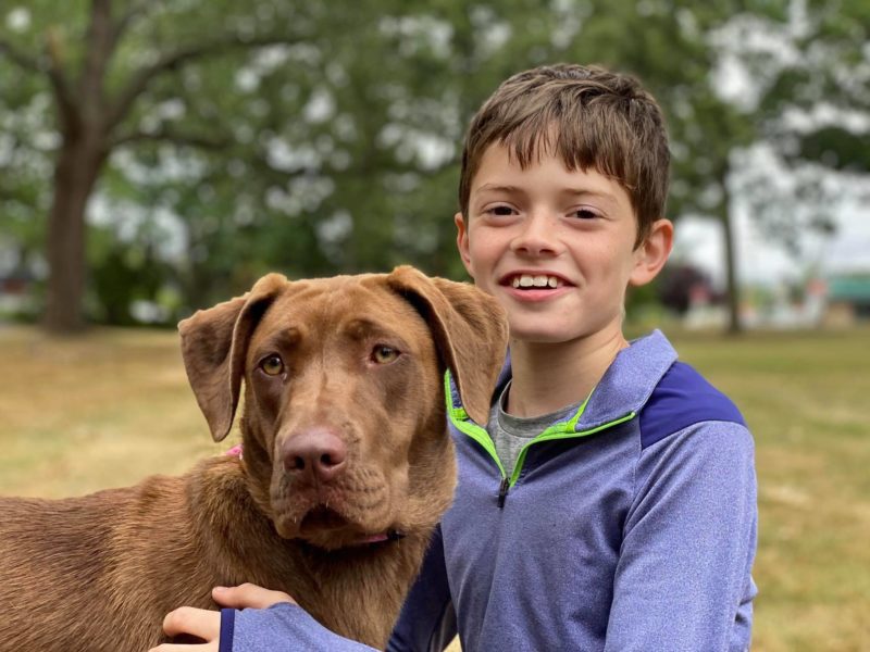 Happy Tails – OLD – A Lab for Life